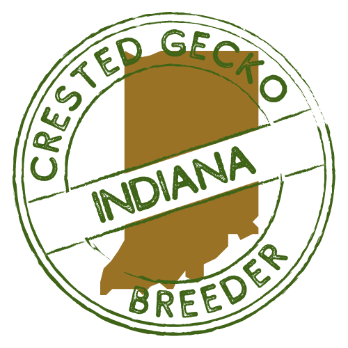 Indiana Crested Gecko Breeders (Buy Local) - Tenny's Crested Geckos