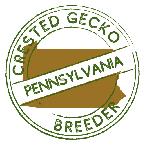Pennsylvania Crested Gecko Breeders (Buy Local) - Tenny's Crested Geckos